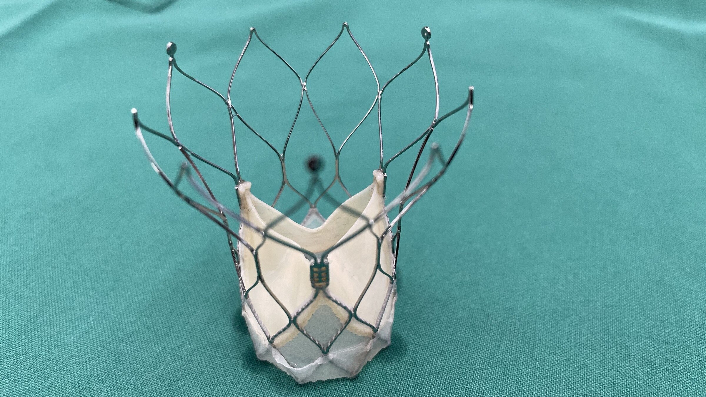 AG Dreger - Deutsches Herzzentrum der Charité